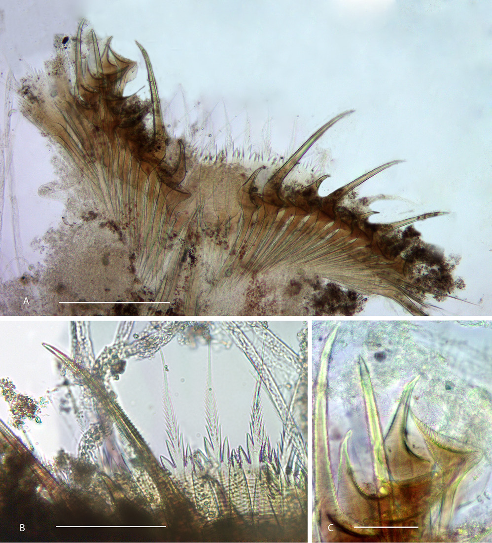 sm79n1-4127.html