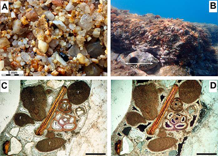 Geochronology and palaeoclimatic context of submerged siliciclastic ...